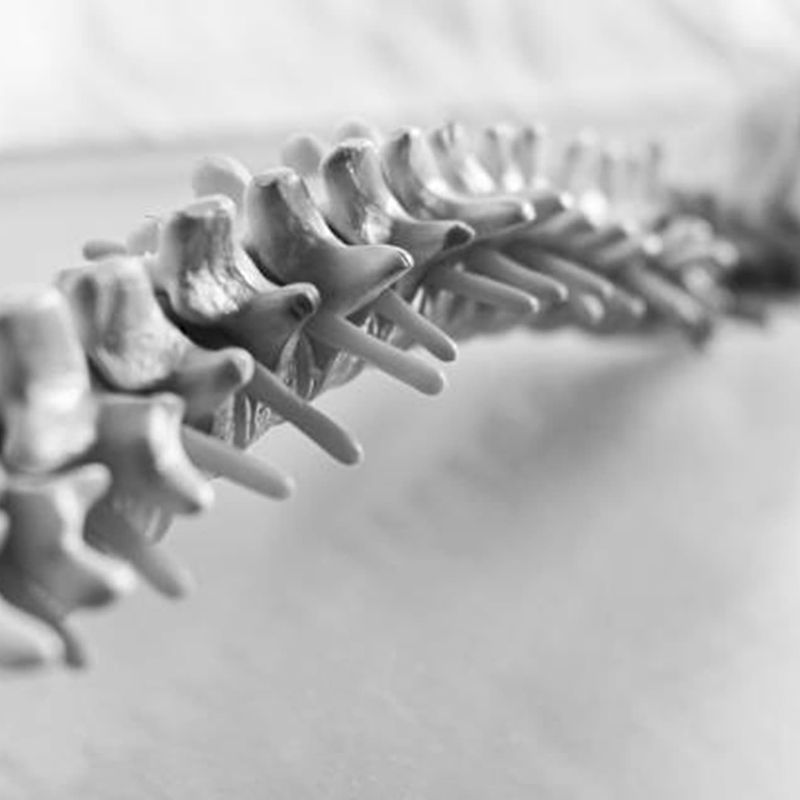 Finapres Medical Systems