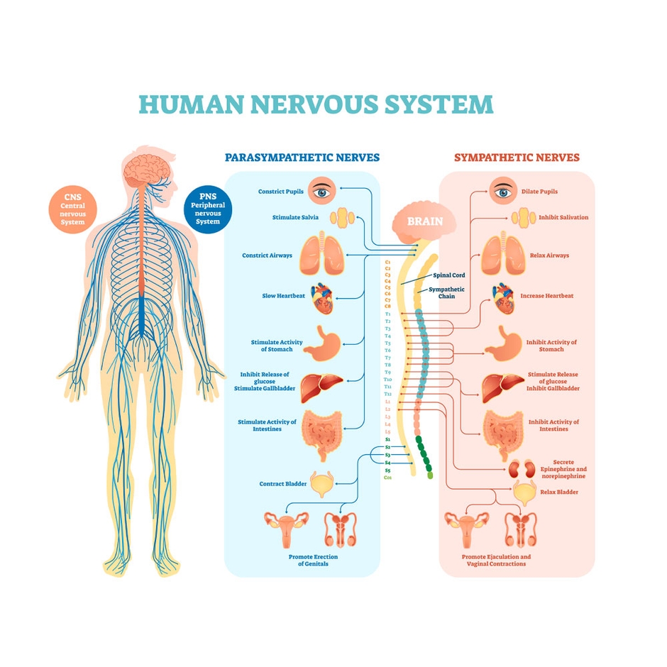 Autonomic Failure Diagnosis
